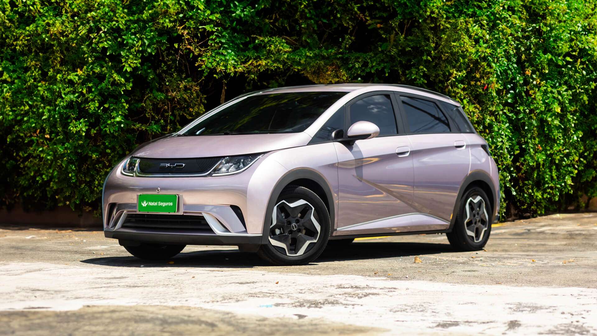 BYD Dolphin: Conheça Tudo Sobre Esse Carro Elétrico